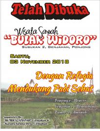 Wisata Sawah "Bulak Widoro"